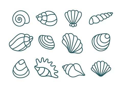 Conjunto De Varias Conchas Vector Ilustración Lineal Vector Premium