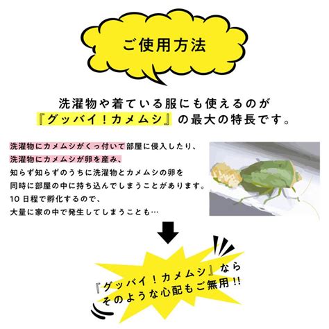 Ml Lt