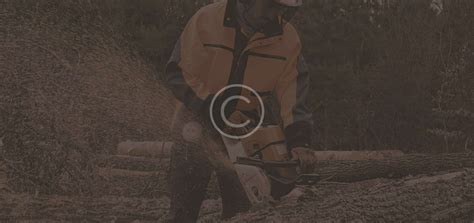 Depozit Cherestea Bucuresti Depozit Cherestea Chitila