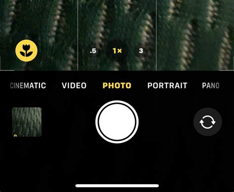 How To Take Macro Photos With IPhone Pro