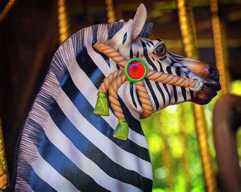Lovely Zebra Carrousel Ride Photograph By Garry Gay Pixels