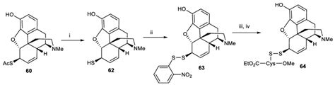 Synthesis And Modification Of Morphine And Codeine Leading To Diverse Libraries With Improved
