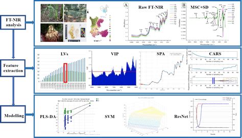 Foods Free Full Text Resnet Model Automatically Extracts And