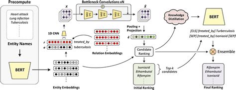 Robust Knowledge Graph Completion With Stacked Convolutions And A Student Re Ranking Network