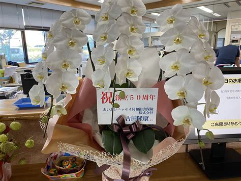 あいおいニッセイ同和損害保険 浜松支店様より胡蝶蘭！ 三幸会ブログ