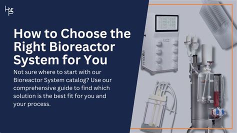 Bioreactor Bioreactorsystem Innovation High Purity New England