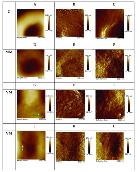The Topography And Property Maps Friction And Deflection Error For