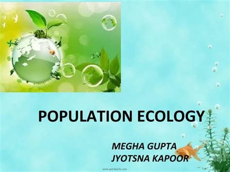 Metapopulation Ppt