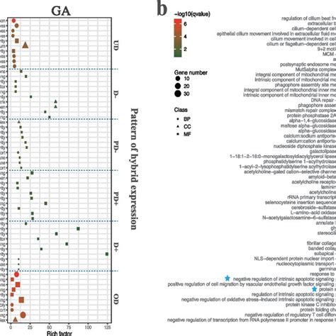 The Top 10 Enriched Go Terms Derived From The Go Enrichment Analysis Of
