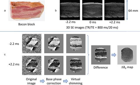 Figure 1 From Bloch Simulation Of A Three Point Dixon Experiment Using A Four Dimensional