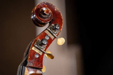 Building Melodic Bass Lines — Discover Double Bass