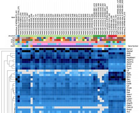 Tfe3 Gene Expression Results GXD