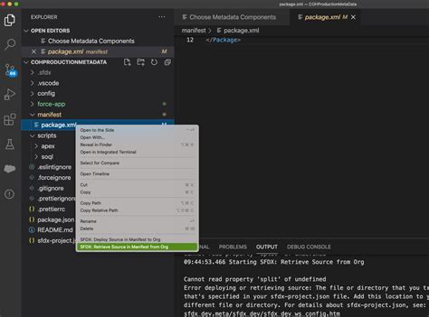 Unable To Retrieve Packagexml From Source Manifest After A Couple Of