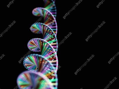 Genetic Code Dna Sequencing Molecular Concept 이미지 1352547533 게티이미지뱅크