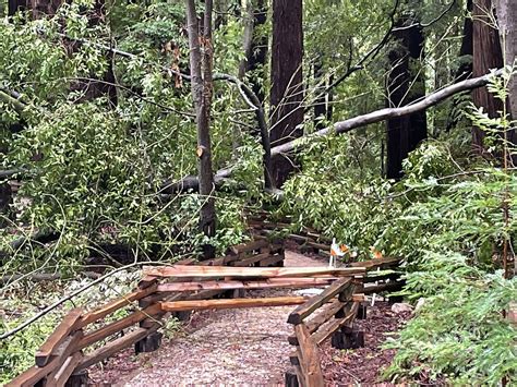 Felix Cortez On Twitter Your Popular Big Sur State Park May Be