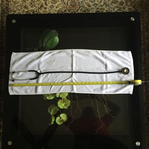 Nursing School Stethoscope Hobbies And Toys Stationery And Craft