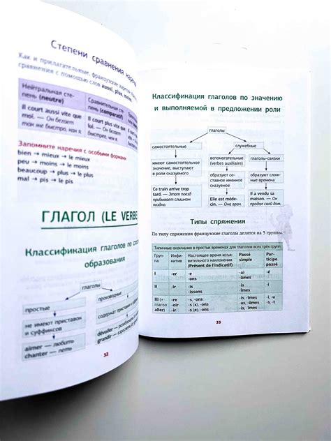 Французская грамматика в схемах и таблицах Vilki Books