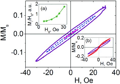 Representative Partial Hysteresis Loops Measured With Different