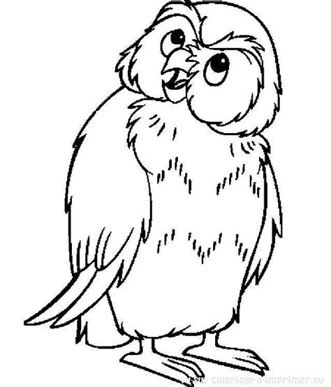 Coloriage Une Chouette Et Dessin Gratuit à Imprimer Dessine Les