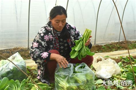 冷门蔬菜冷门水果蔬菜大山谷图库