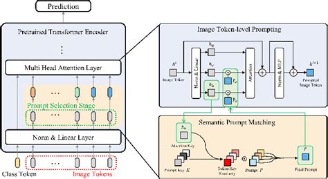 Figure 1 From Semantic Prompting With Image Token For Continual Learning Semantic Scholar