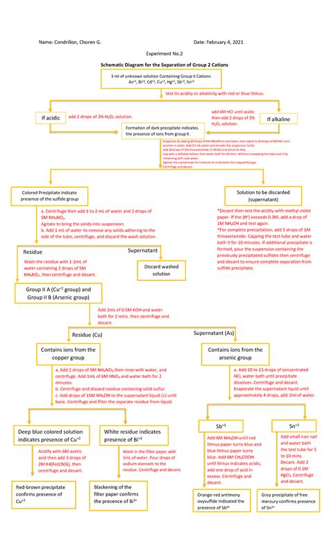Qualitative Analysis Of Cations Lab Report Mta Production