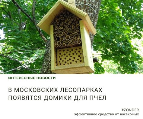 В московских лесопарках появятся домики для пчел Они будут исполнять ...