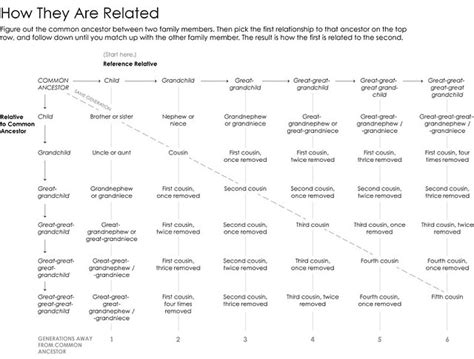 Everything Is Relative Except Relatives And They Are Absolute Roughly Daily