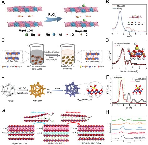 Layered Double Hydroxides Supported Noble Metal Single Atom Catalysts