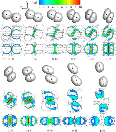 Droplet Deformation Velocity Streamline And Vorticity Magnitude
