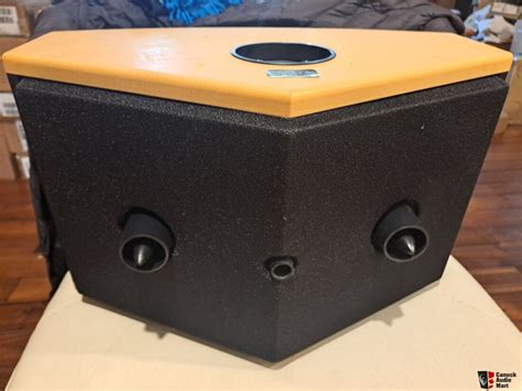 Bose 901 Series Vi Speaker Pair With Equalizer Photo 4773091 Us