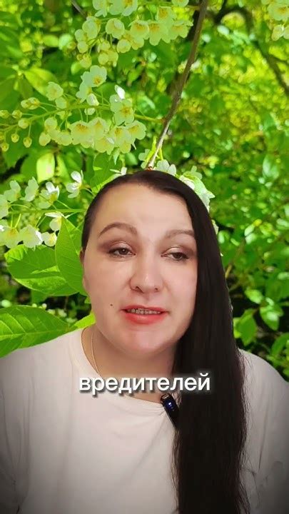 Как получить консультацию дача ландшафт сад огород садовник курсыландшафтногодизайна