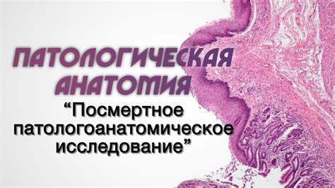 Клиническая патологическая анатомия №3 "Посмертное ...