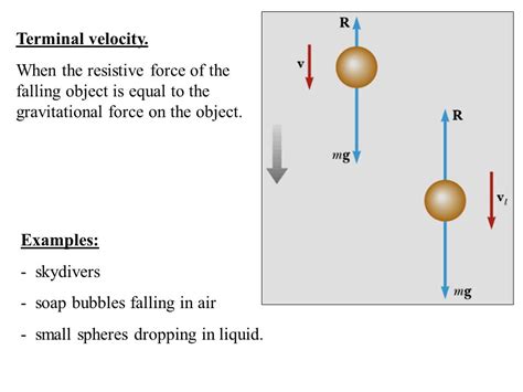 Terminal Velocity Definition A Level Physics At Raymond Stucky Blog