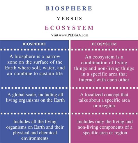 What Is The Difference Between Biosphere And Ecosystem Pediaacom