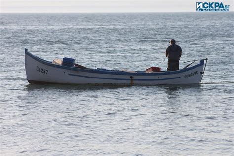Защо попчето и скаридата изчезнаха от българските води на Черно море