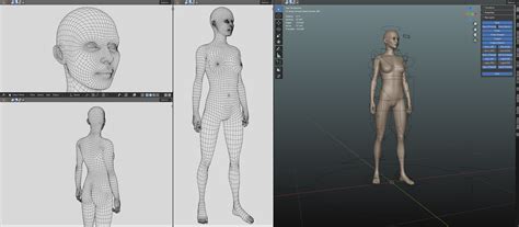 Obj File Base Mesh Female・template To Download And 3d Print・cults