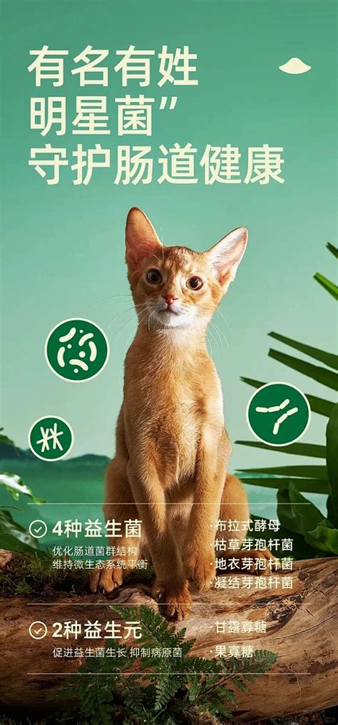 不是我吹 ️这套详情页没五年经验做不出来