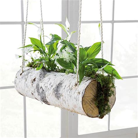 Diy Fascinating Log Planter Ideas Unique Balcony And Garden Decoration