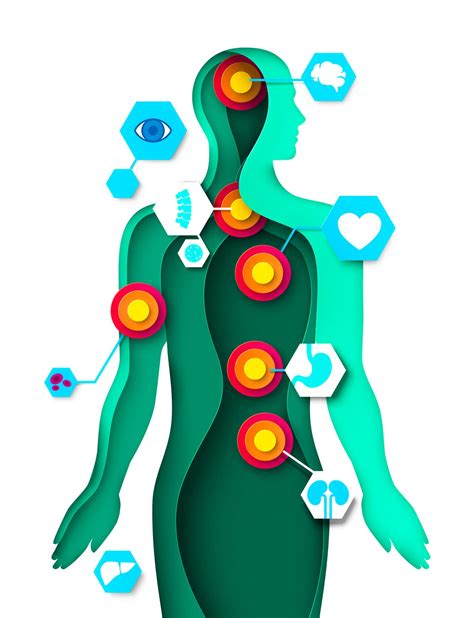 Exercise At The Cellular Level