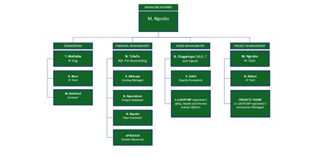 Company Structure