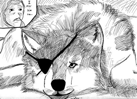 How Do I Get The Dog In Mgsv