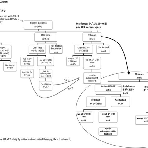 Flow Chart Of Ltbi Testing And Treatment Among Hiv Patients Download