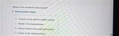 Solved Where Is The Mandibular Fossa Locatedview Available