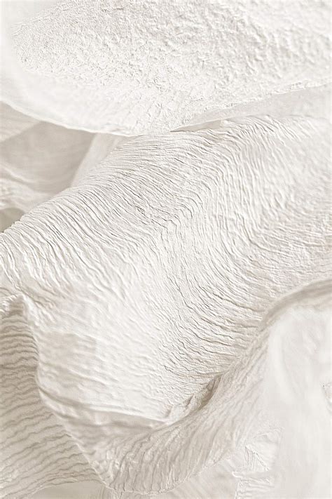 Lily Texture Images Free Photos Png Stickers Wallpapers And Backgrounds Rawpixel