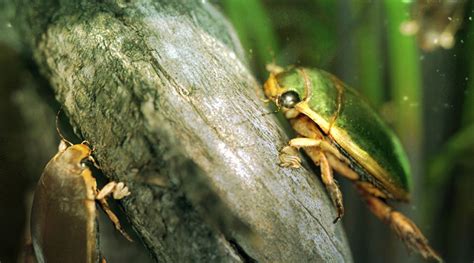 Top 10 Rendering Engines To Use For Your 3d Projects In 2023 Kasra Design