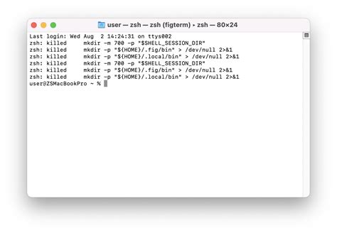 Macos Killed Commands On Terminal Startup Stack Overflow