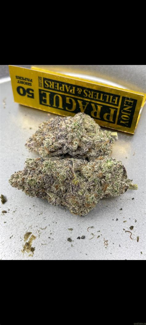 Strain Gallery Frisian Dew Dutch Passion Pic 23620 By Dutch Passion