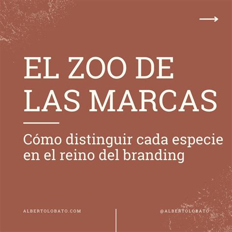 Qué Es El Diseño Gráfico Definición Funciones Y Breve Historia