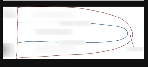 Cochlea Diagram Quizlet